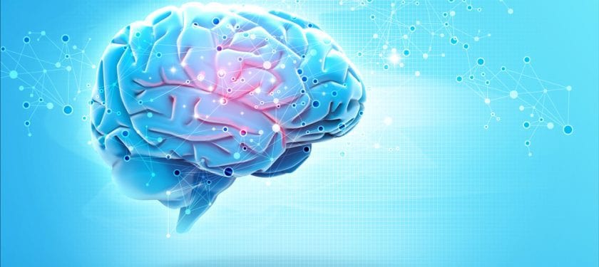 Brain simulation reveals benefits of emergency cooling treatment ...